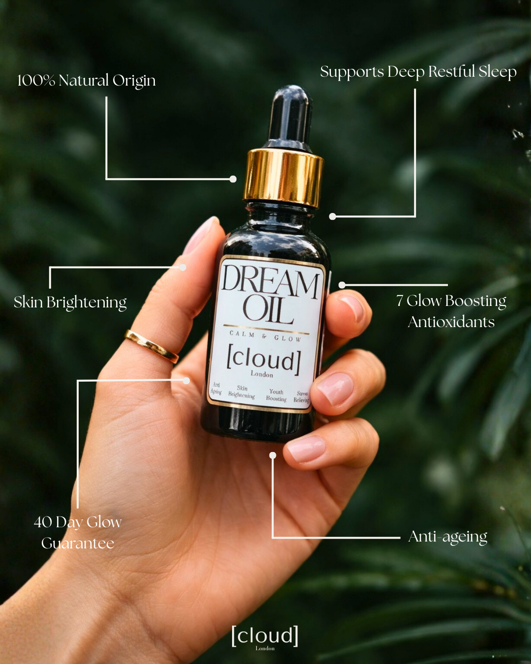 Dream Oil - Night Face Oil For Sleep – Cloud Skincare